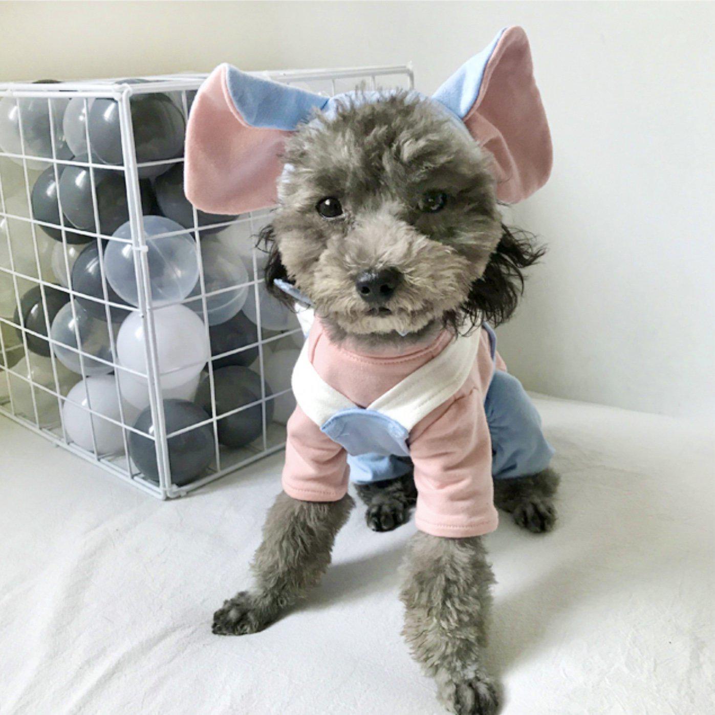【即納】3点セット＊ゾウさんコスチューム - 愛犬へのプレゼントなら、MaRest. Doggo Tokyo/マレスト. ドーゴ トウキョウ