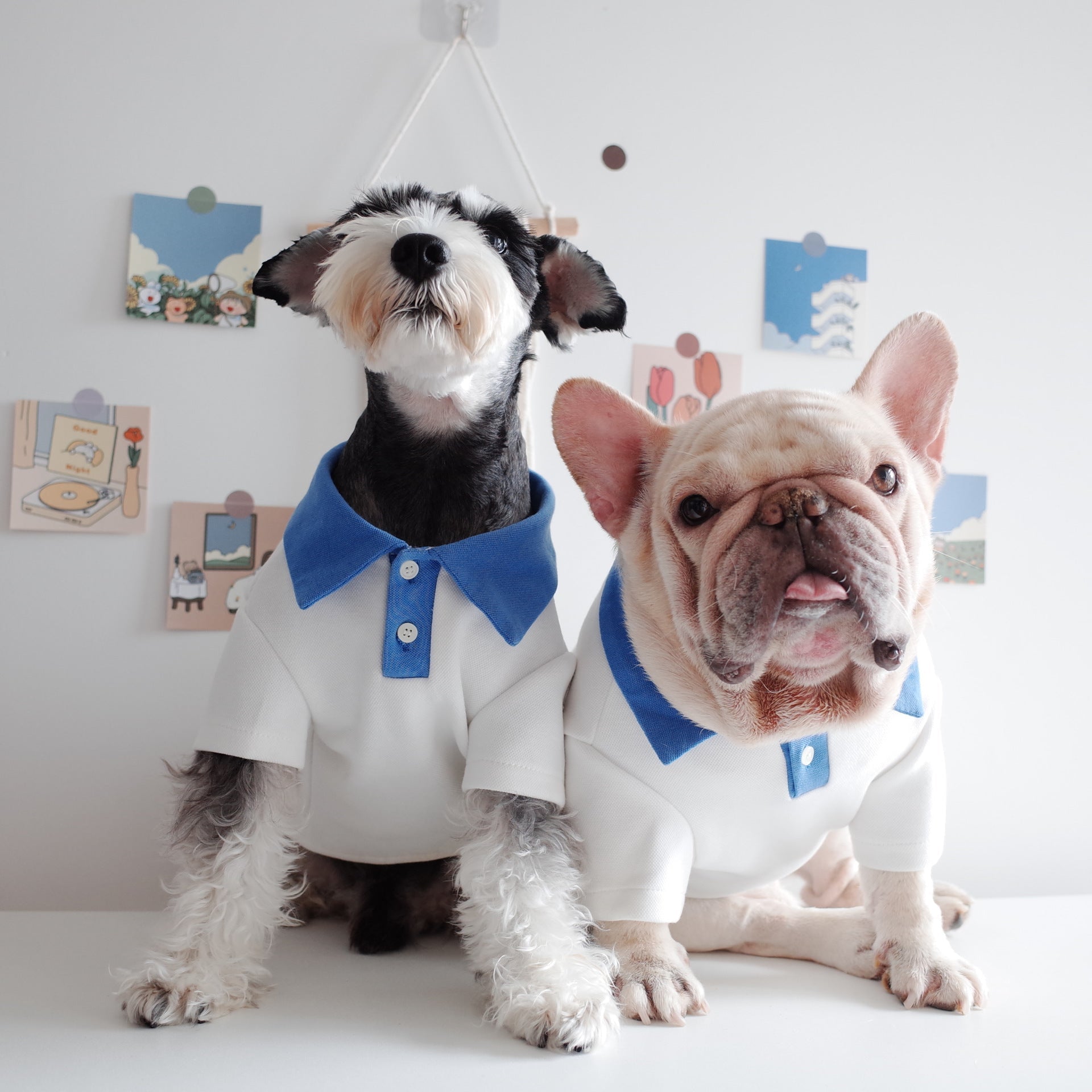 ゆったりサイズ＊マリンPOLOシャツ - 愛犬へのプレゼントなら、MaRest. Doggo Tokyo/マレスト. ドーゴ トウキョウ